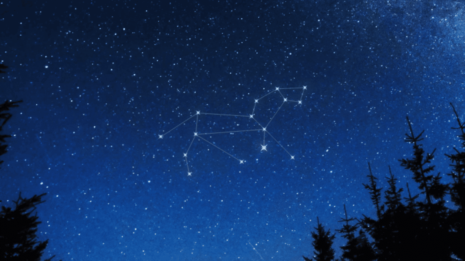 Constellations in the Night Sky: Simple Tips for Stargazing - Philip ...