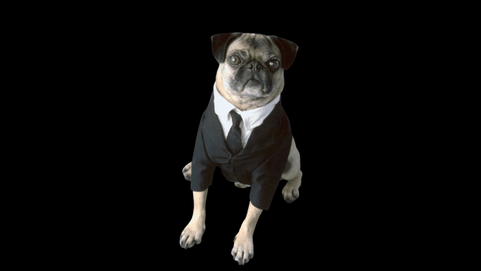 Top 13 Strangest Men in Black Creatures Ranked - Philip Metzger