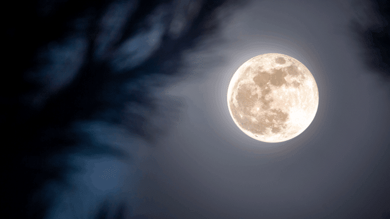 61 Unique Fun Facts About the Moon You Should Know - Philip Metzger