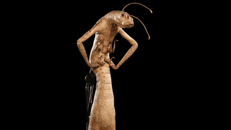 Top 13 Strangest Men in Black Creatures Ranked - Philip Metzger