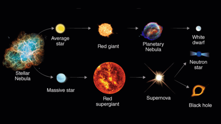 Explaining What Happens When a Star Dies - Philip Metzger