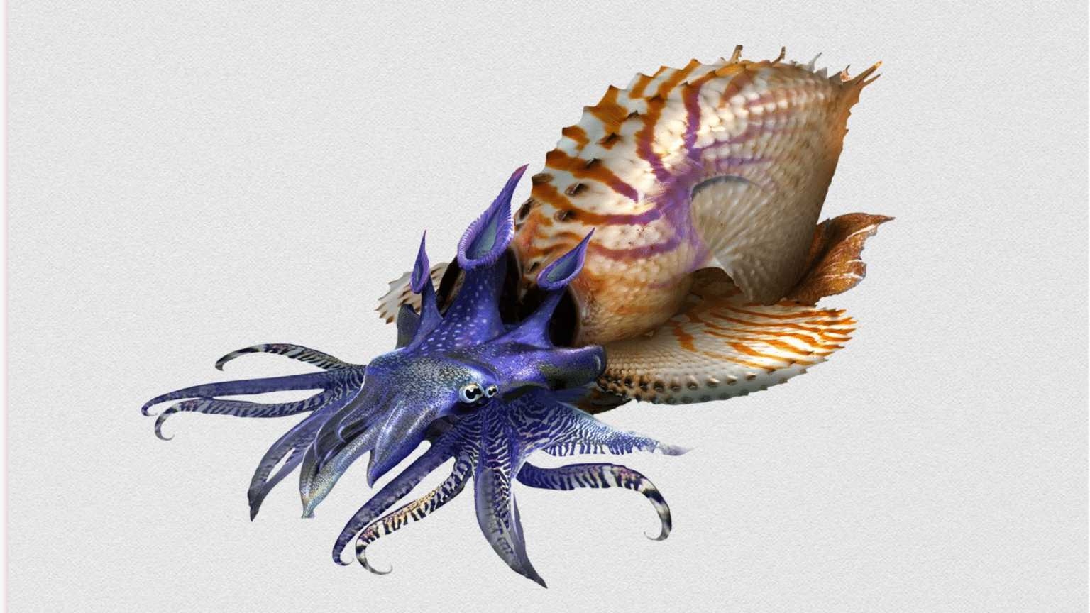 Meet the Amazing Animals of Avatar’s Pandora - Philip Metzger